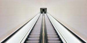 Ogre Diva + Other Semordnilaps - Just Curious